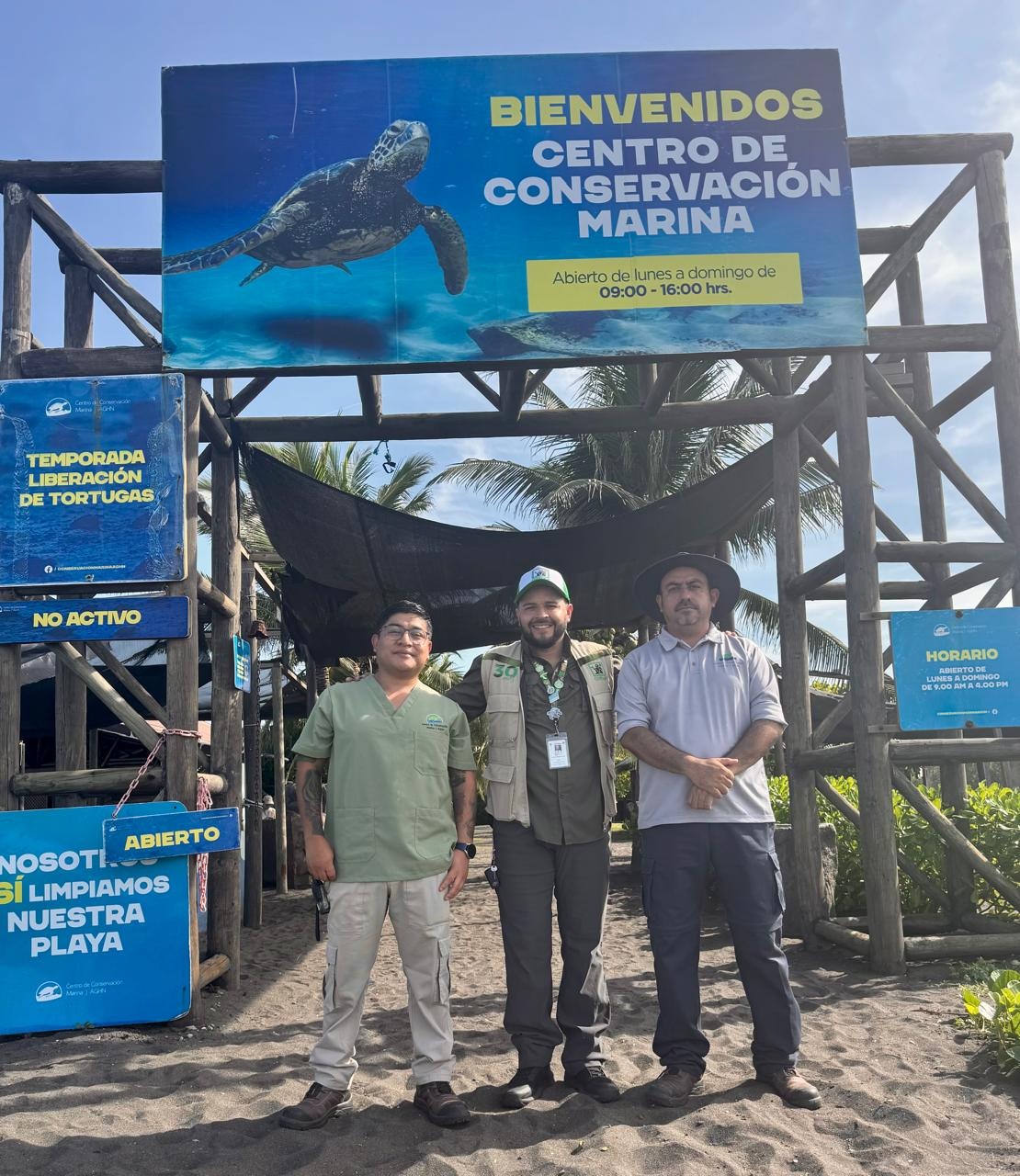 León Marino regresa a su hábitat natural luego de su recuperación en el ...